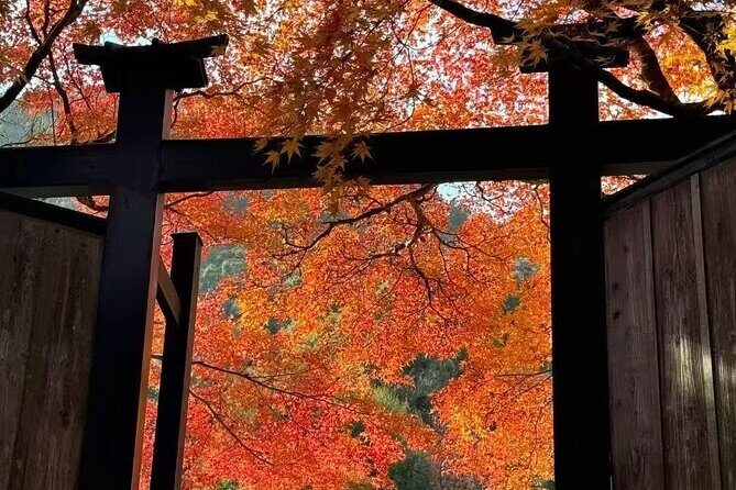 Explore Fuji Exclusively in 10 hours - Who Should Consider This Tour?