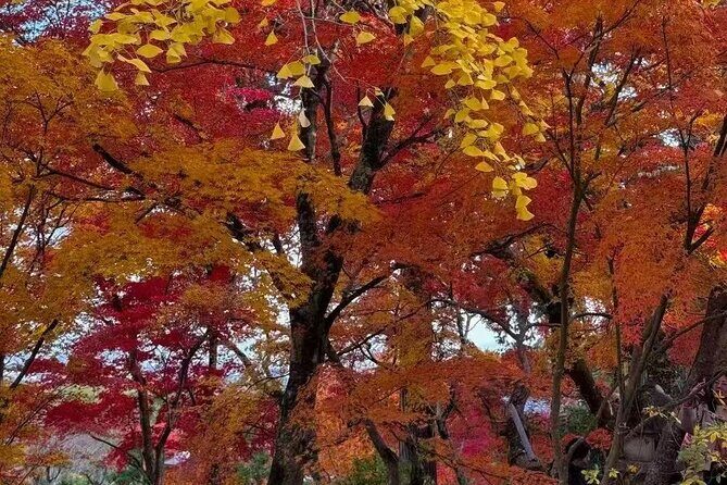 Explore Fuji Exclusively in 10 hours - FAQ