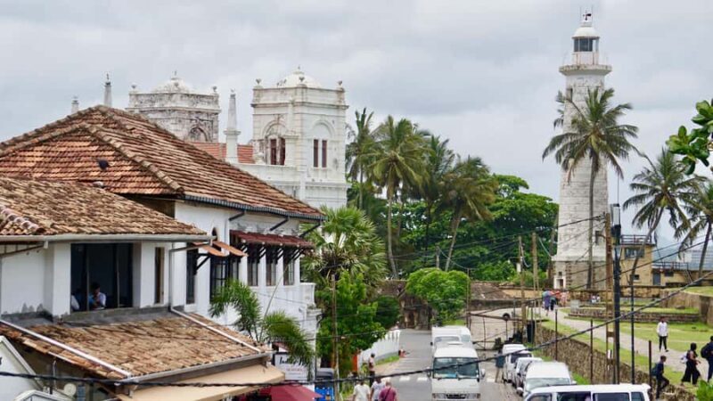 Explore Galle's Hidden Gems & Dine with Locals - Meet the Turtle Conservation Heroes