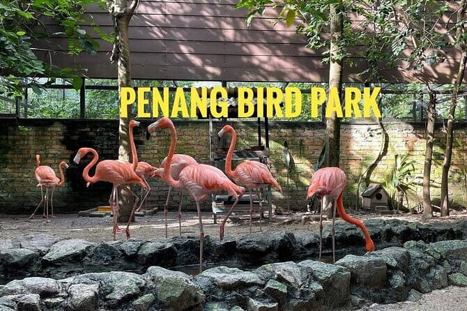 Explore Georgetown City & Wildlife Tour with Penang Bird Park - FAQs