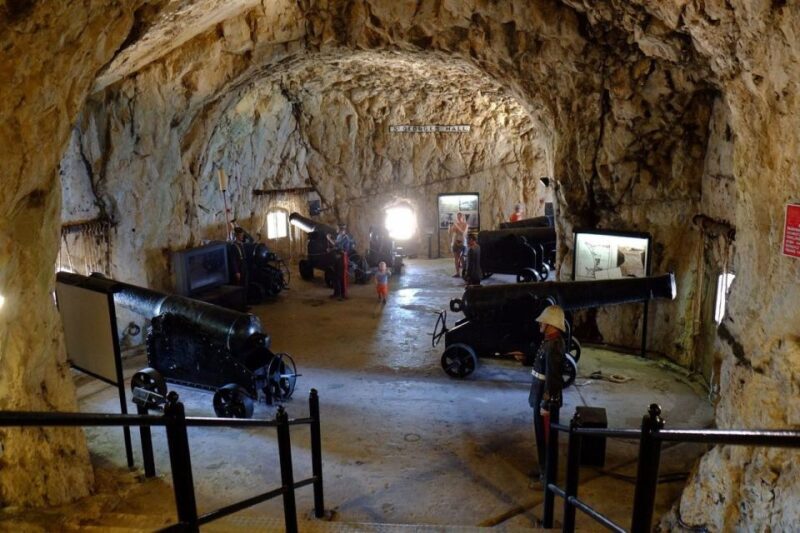 Explore Gibraltar with a Private Guide from Malaga. - Why Choose This Tour?