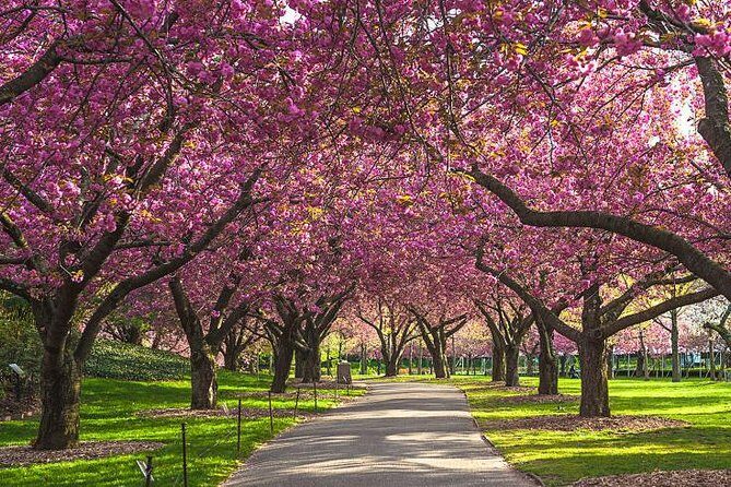 Explore Gilgit Baltistan Epic Jeep Safari and Cultural Adventure - Key Points