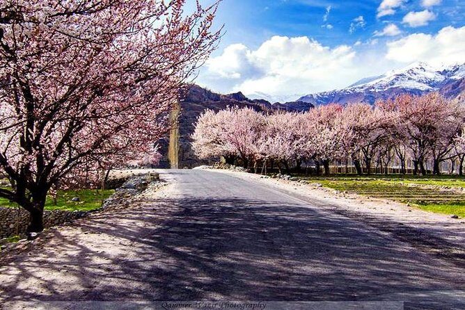 Explore Gilgit Baltistan Epic Jeep Safari and Cultural Adventure - Who Is This Tour Best For?