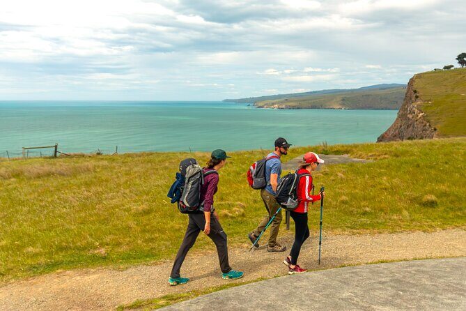 Explore Godley Head, Lyttelton & Christchurch (Small Group Tour) - Introduction