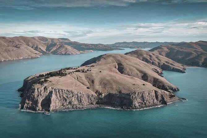 Explore Godley Head, Lyttelton & Christchurch (Small Group Tour) - A Detailed Look at the Experience