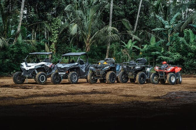 Explore Gorilla Cave by ATV in Ubud - Monkey Forest and Waterfall - Monkey Business: Sacred Monkey Forest Sanctuary