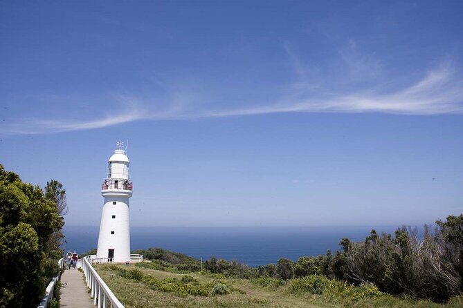 Explore Great Ocean Road and Twelve Apostles Private Tour - The Sum Up