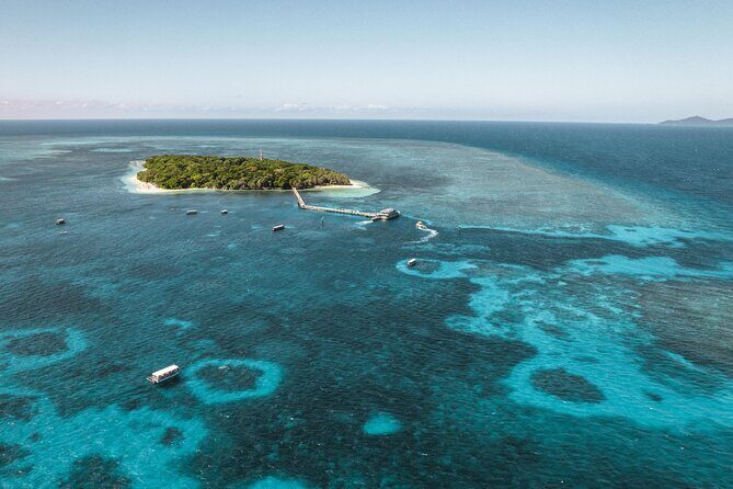 Explore Green Island with Diving options from Cairns - Key Points