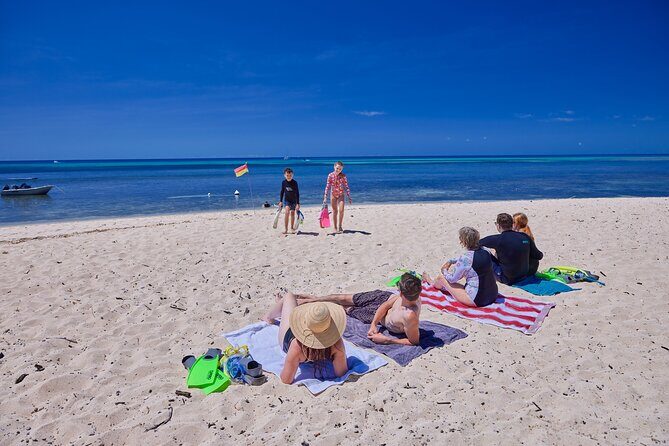 Explore Green Island with Diving options from Cairns - The Value and What It Means for Travelers