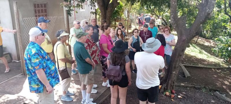 Explore Grenada's Magic: Private Spice Island Tour - The Itinerary: A Detailed Walkthrough