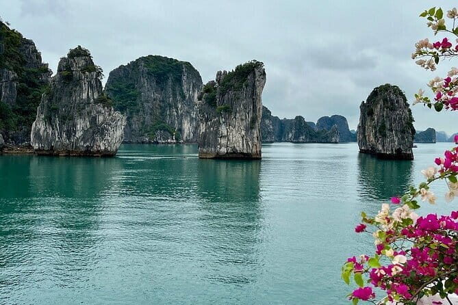 Explore Ha Long Bay Experience with Aqua Elegance Cruise - Final Thoughts