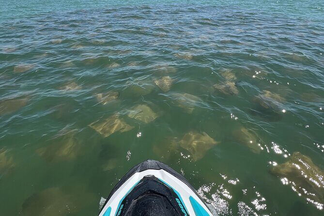 Explore Hidden Islands and Dolphins Jet Ski Adventure - Why This Tour Is a Great Value