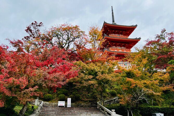 Explore History and Culture in Kyoto - Maruyama Park and Yasaka Shrine: Green Spaces and Spiritual Heart