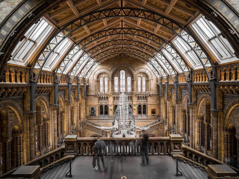 Explore History: British Museum's Rosetta, Mummies & More - Key Points