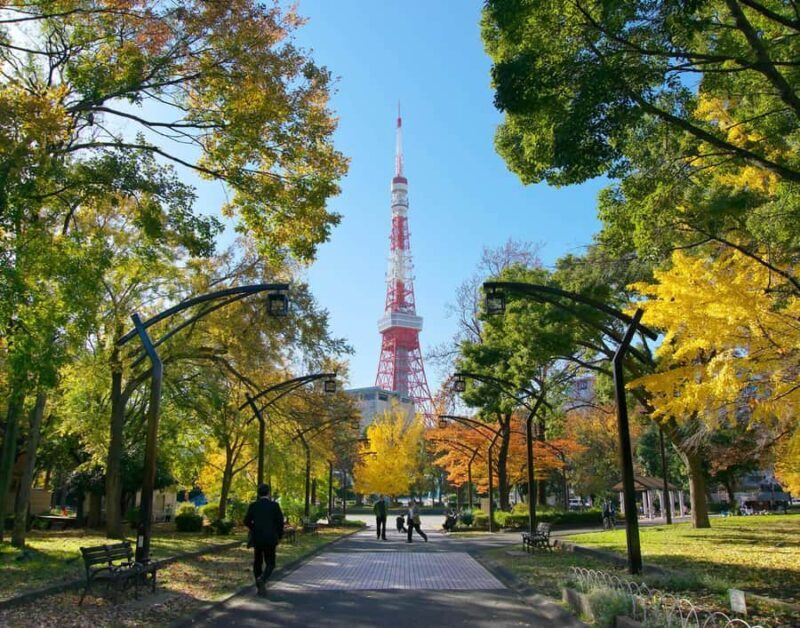 Explore History & Nature: Kamiyacho to Tokyo Tower - Practical Details and Considerations