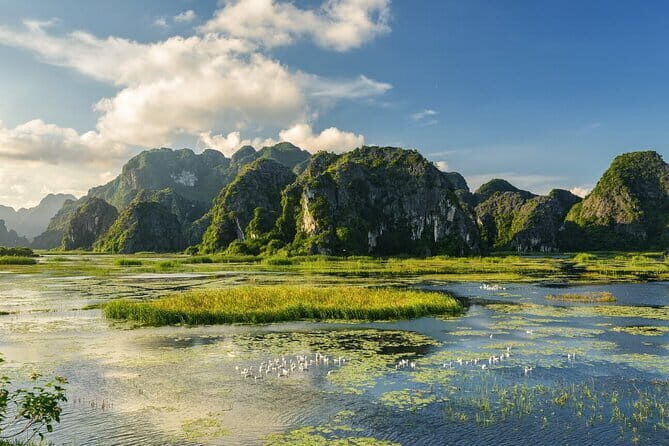 Explore Hoa Lu, Mua Cave, Van Long Nature Reserve, Biking, Buffet - Key Points
