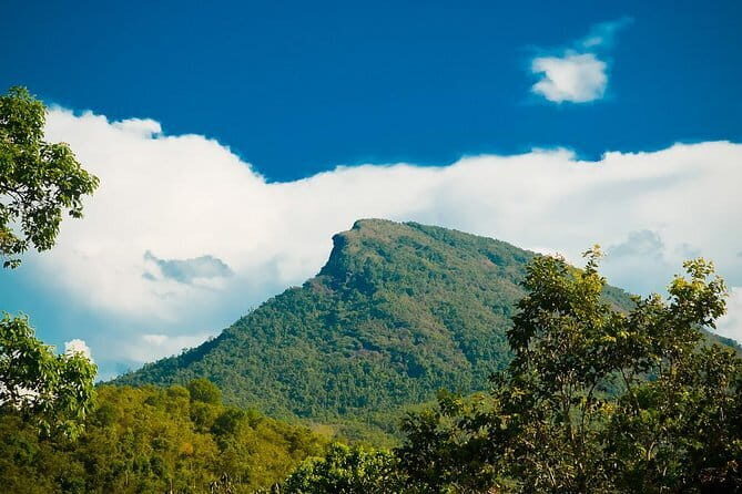 Explore Hoi An Ancient Town and Coconut Village with Dinner - The Sum Up