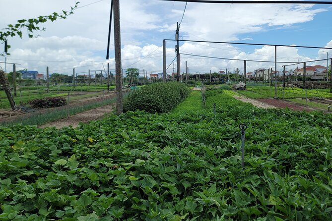 Explore Hoi An ancient town and local villages with a local guide - Why This Tour Works for Different Travelers