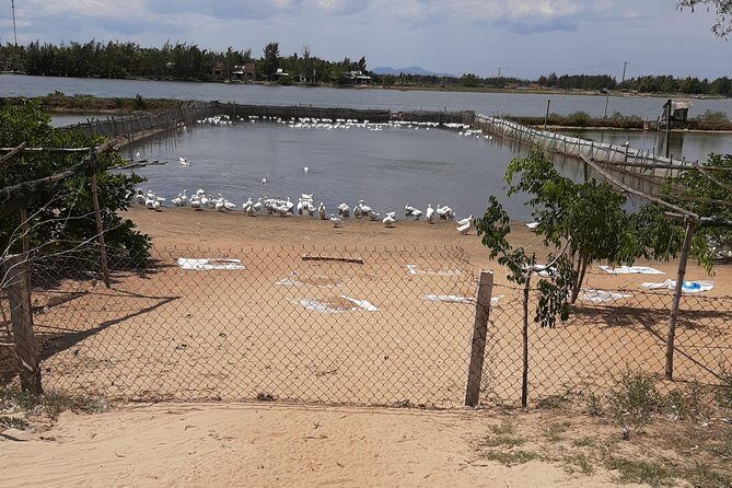 Explore Hoi An Village Island - Exploring the Itinerary in Detail