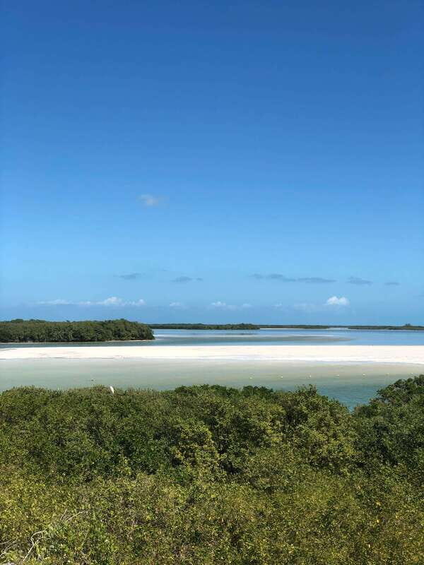 Explore Holbox Island VIP - 4 Points + Guacamole - What Travelers Say