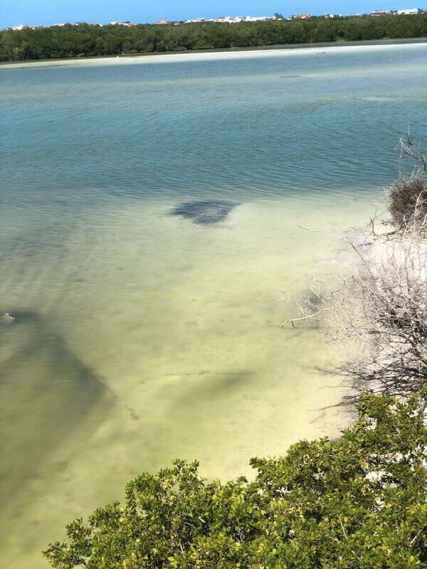 Explore Holbox Island VIP - 4 Points + Guacamole - Who Will Enjoy This Experience?