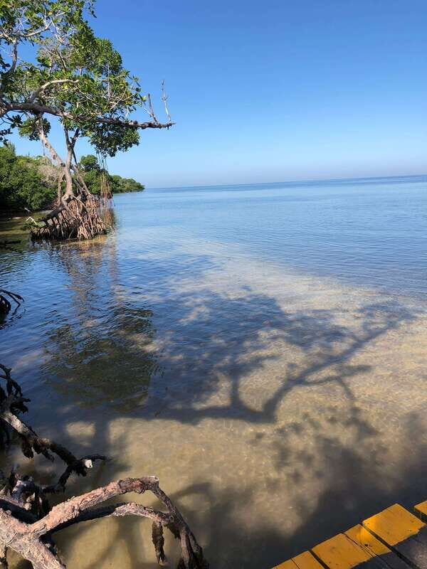 Explore Holbox Island VIP - 4 Points + Guacamole - Final Thoughts