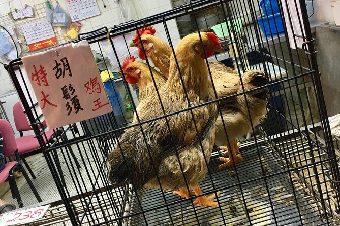 Explore Hong Kong: Sham Shui Po - Every Bit Local! - Who Should Consider This Tour