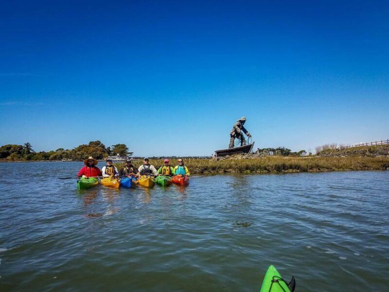 Explore Humboldt Bay by Kayak - Why Choose This Kayak Tour?