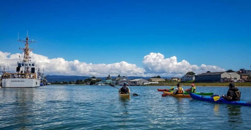 Explore Humboldt Bay by Kayak - Equipment, Preparation, and Practical Details