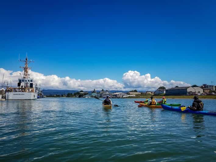 Explore Humboldt Bay by Kayak - The Experience from Other Travelers