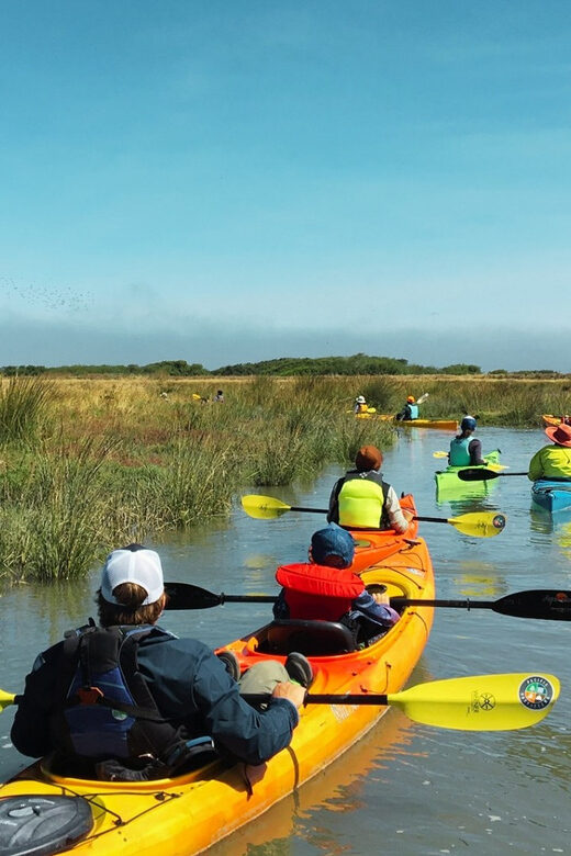 Explore Humboldt Bay by Kayak - Final Thoughts: Is This Tour for You?