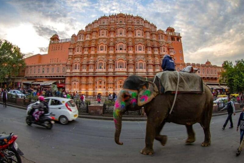 Explore Jaipur & Amber Fort  Guided Half or Full Day Tour - Key Points