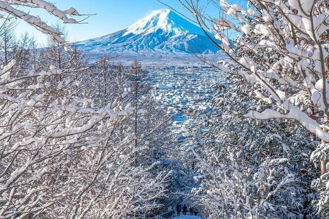 Explore Japan in 15 Days Small Group with a Local Guide - Wrapping Up in Tokyo