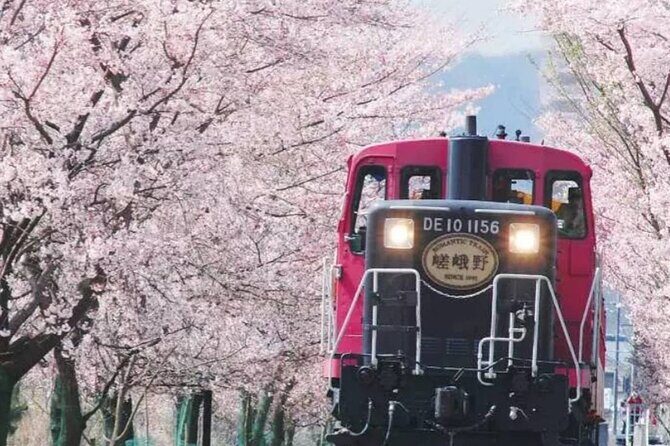 Explore Japan in 7 Days Cherry Blossom Tour 2026 - Key Points