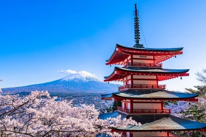 Explore Japan in 7 Days Cherry Blossom Tour 2026 - A Detailed Look at the 7-Day Japan Cherry Blossom Tour