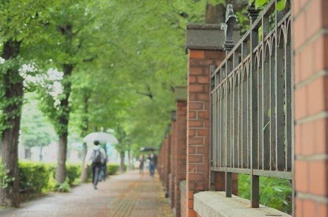 Explore Japans Oldest University by a Walking Tour - The Sum Up