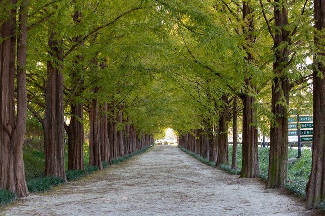 Explore Jeonju/Yeosu/Suncheon with Private Day Tour from Gwangju - The Sum Up