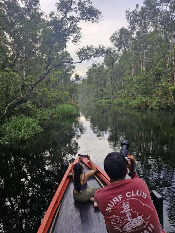 Explore Jungle in Borneo and Orangutan Kelotok Tour 3D/2N - What We Loved About This Tour