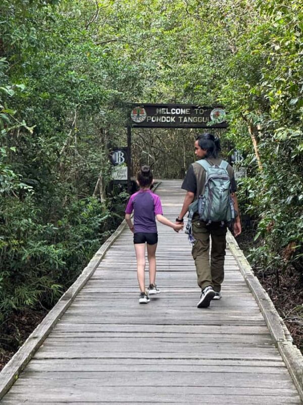 Explore Jungle in Borneo and Orangutan Kelotok Tour 3D/2N - Who Is This Tour Best For?