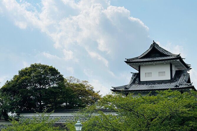 Explore Kanazawa Half Day Private Tour with Local Guide - Who Will Benefit Most?