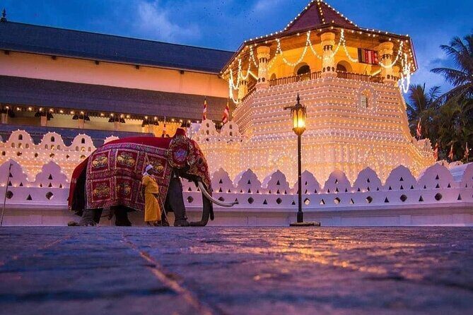 Explore Kandy Day Tour - Key Points