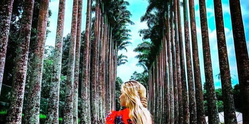 Explore Kandy, Pinnawala, and Tea Plantation from Kandy - Itinerary Breakdown: What You Can Expect