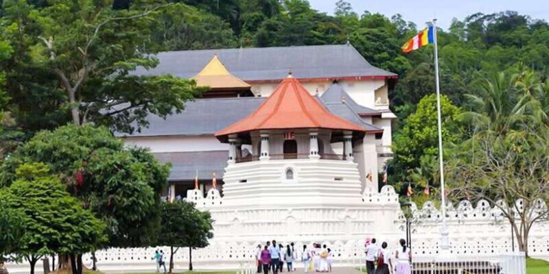 Explore Kandy, Pinnawala, and Tea Plantation from Kandy - Who Will Love This Tour?