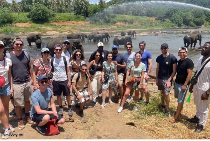 Explore Kandy, Pinnawala, and Tea Plantation from Kandy - The Sum Up