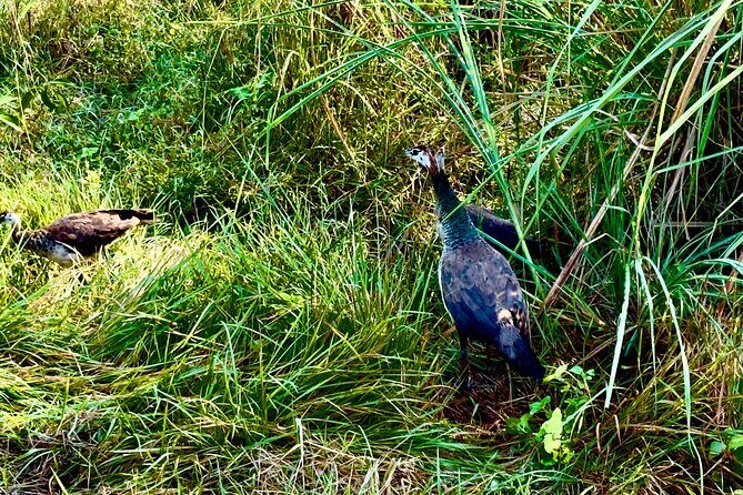 Explore Kathmandu on an 8 Day Private Trip - Travel Through Nepali Landscapes: From Lumbini to Pokhara