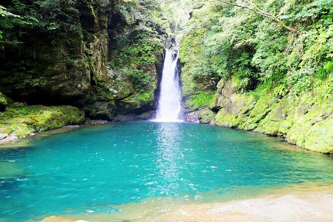 Explore Kochi: private tour by Car with licensed guide - Final Thoughts