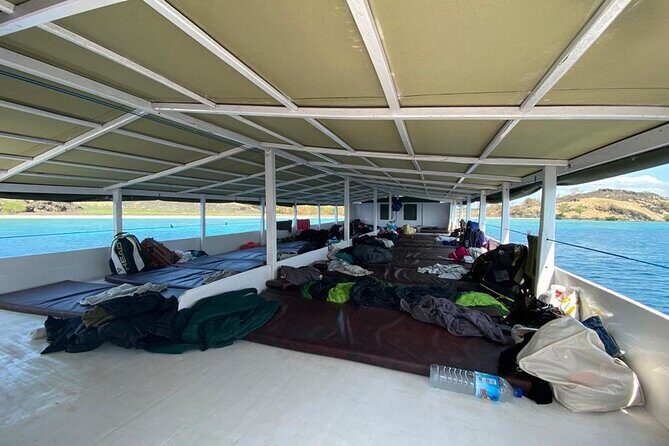 Explore Komodo and Swim with Whale Sharks - The Sum Up: Who Should Consider This Tour?