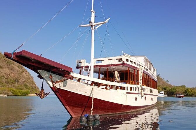 Explore Komodo and Swim with Whale Sharks - FAQ: Your Practical Questions Answered