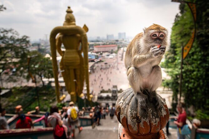 Explore Kuala Lumpur Transit Tour - The Itinerary in Detail