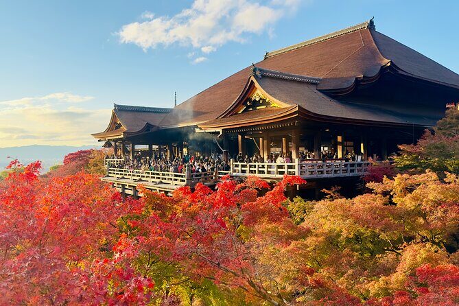 Explore Kyoto in Style: Temples, Shrines & Cultural Highlights - Key Points